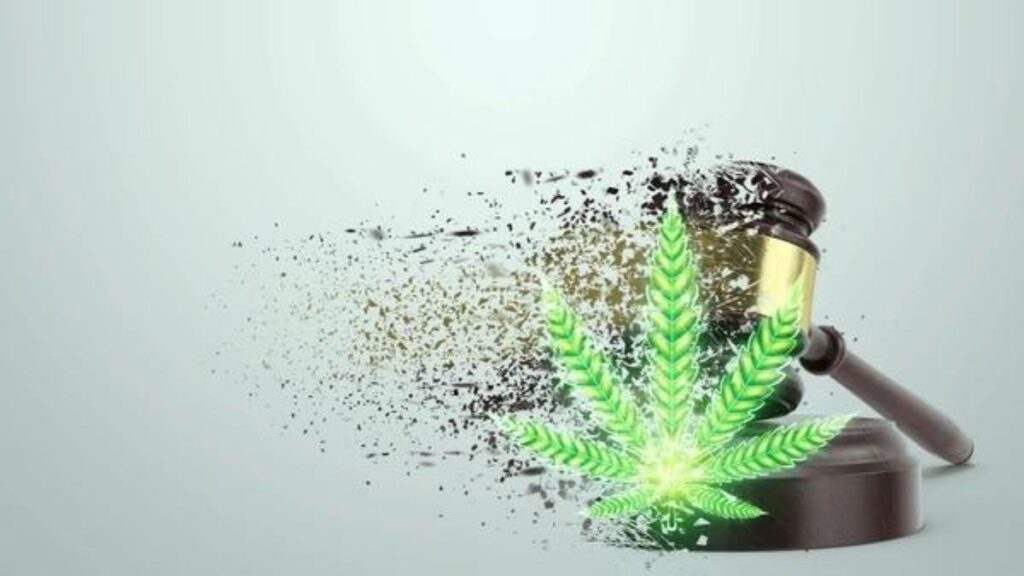 New Colorado Marijuana Hospitality Rules In Effect As Of January