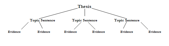 Thesis Statement Vs Topic Sentence – Differences and Examples Explained