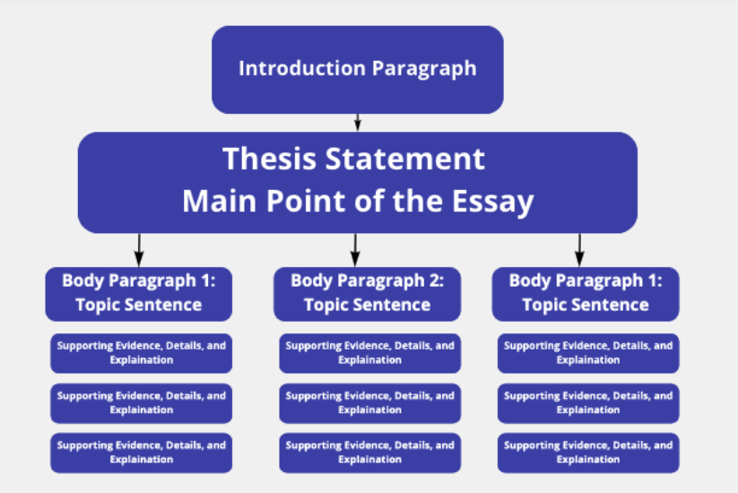 Thesis Statement Vs Topic Sentence – Differences and Examples Explained