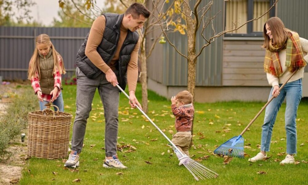 Tips for Cleaning Up Your Outdoor Space