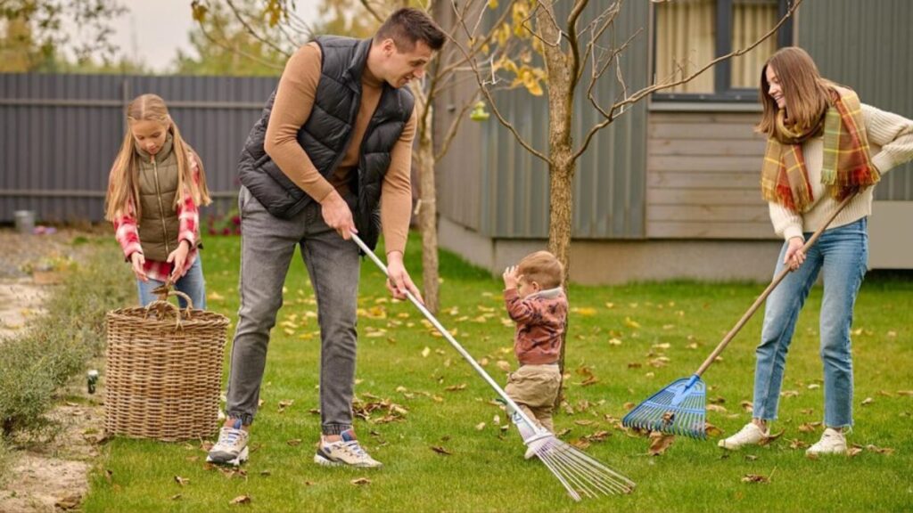 Tips for Cleaning Up Your Outdoor Space