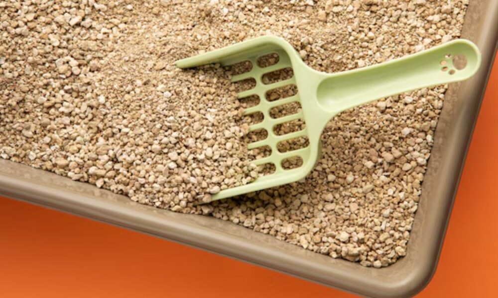 Which stainless steel litter box Material Reigns Supreme?