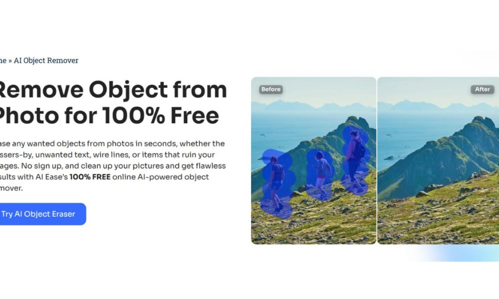 Remove the Object from the Photo for 100% Free.