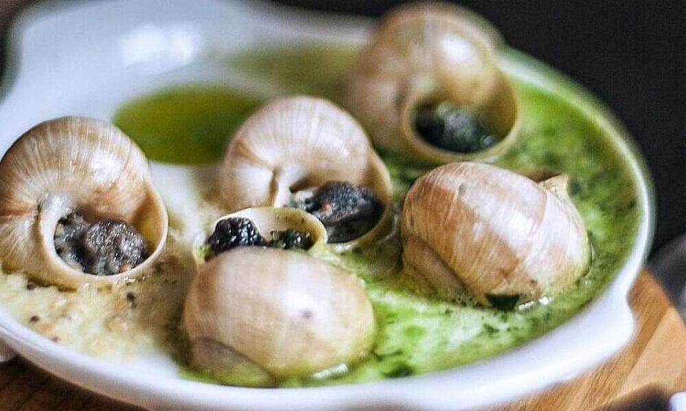 From Garden to Gourmet: The Art of Cooking Escargo