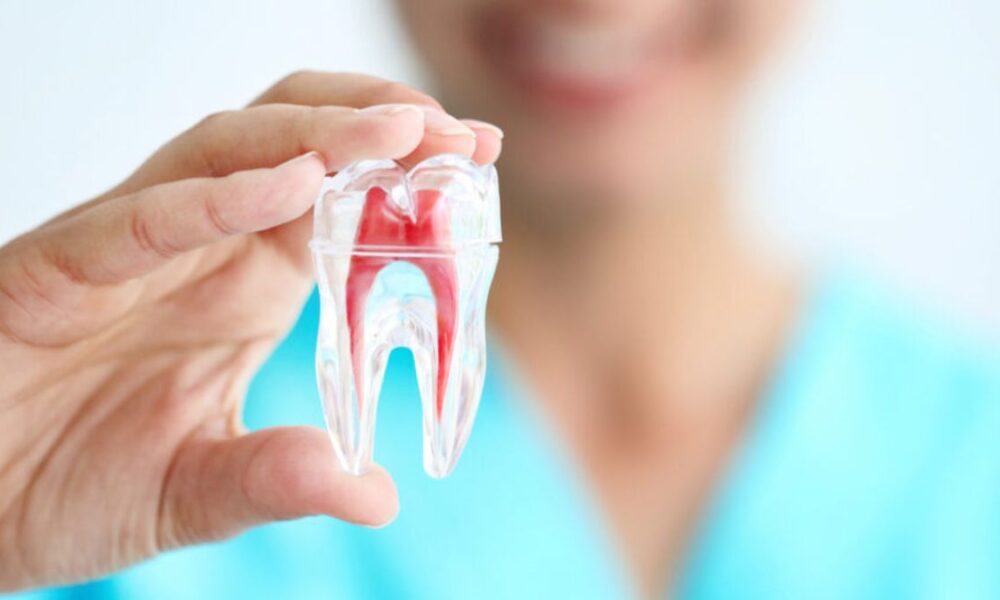 Demystifying Dental Procedures: Filling the Gaps in Your Knowledge on ...