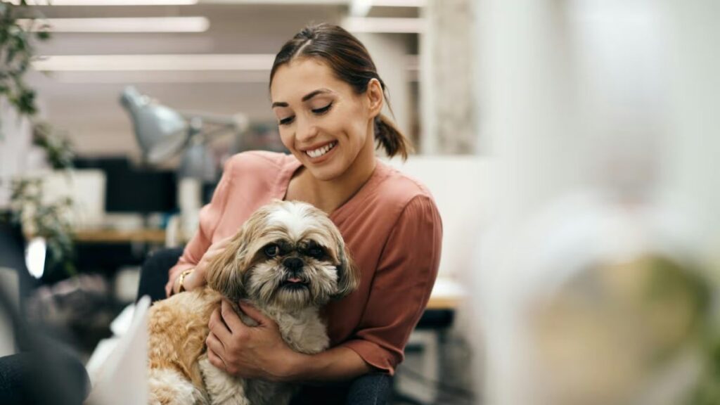 The Rise of Dog-Friendly Spaces and Their Impact on Community Well-Being