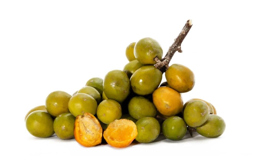 Jocote Fruit: Health Benefits and Delicious Ways to Enjoy