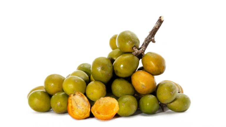 Jocote Fruit: Health Benefits and Delicious Ways to Enjoy