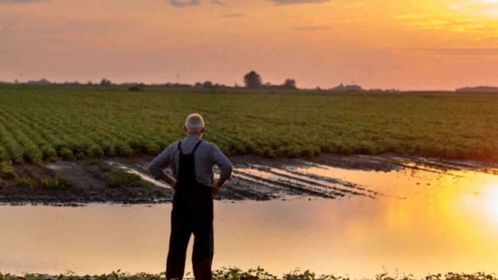 The Rise of Hypackel: A Deep Dive into Its Popularity