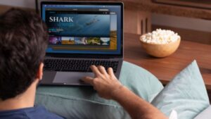MovieOrca vs. Other Streaming Platforms: Where Does It Stand?