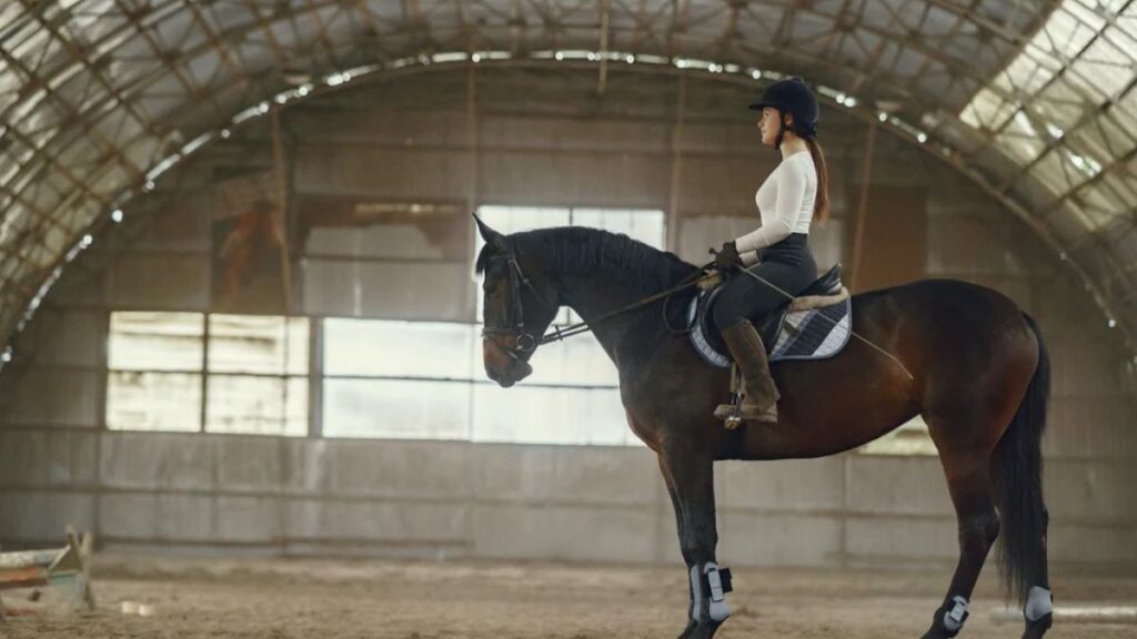 Riding Crop Myths Debunked: What Every Rider Should Know