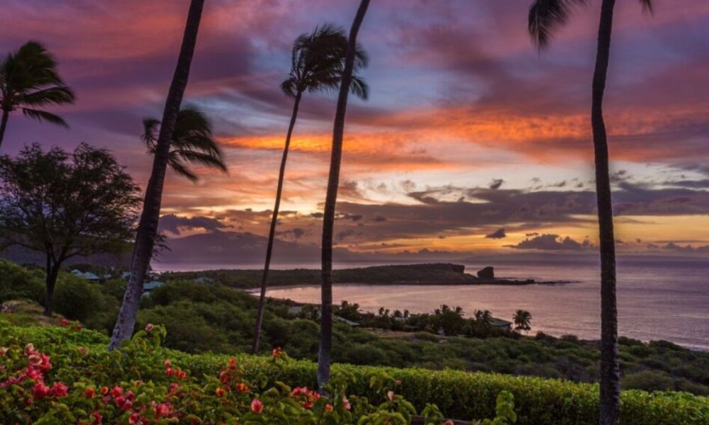 Navigating VUMC Kronos: Workforce Management at Vanderbilt