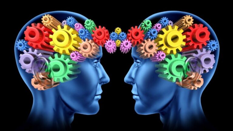 Erosme Explained: What It Is and Why It Matters